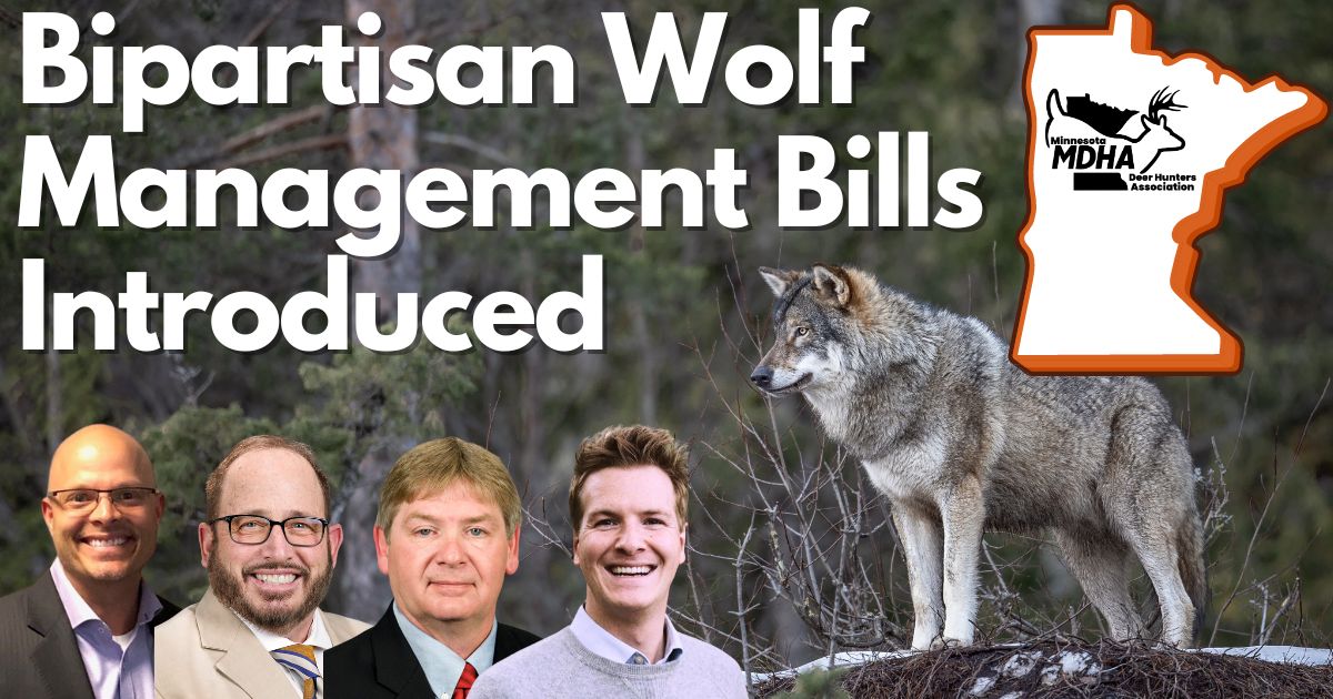 Finding Balance in the Northwoods: Wolf Management Bills